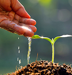 Faisal Pumps – De Bharpoor Saath